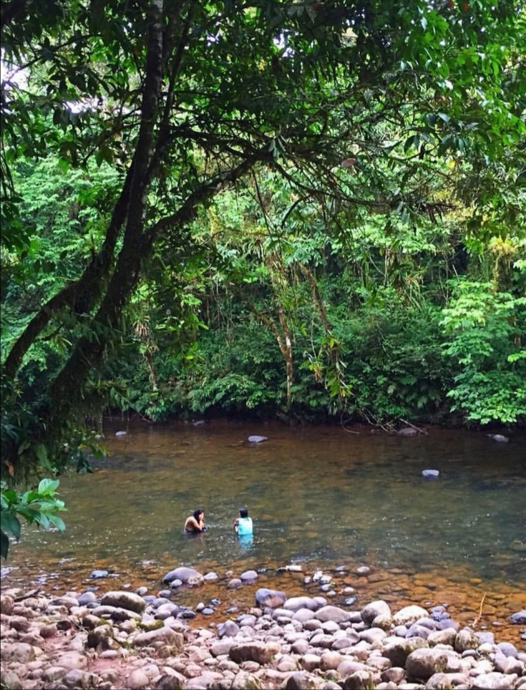 Screenshot_20190510_130109